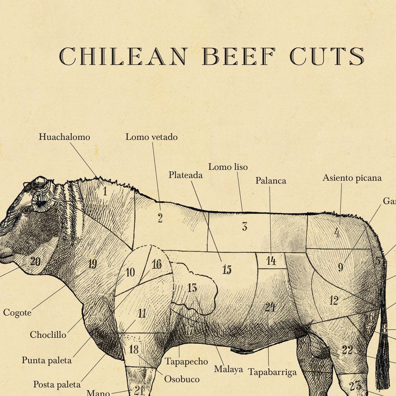 Chilean Beef Cuts Print, Butcher Chart Etching - Etsy Canada