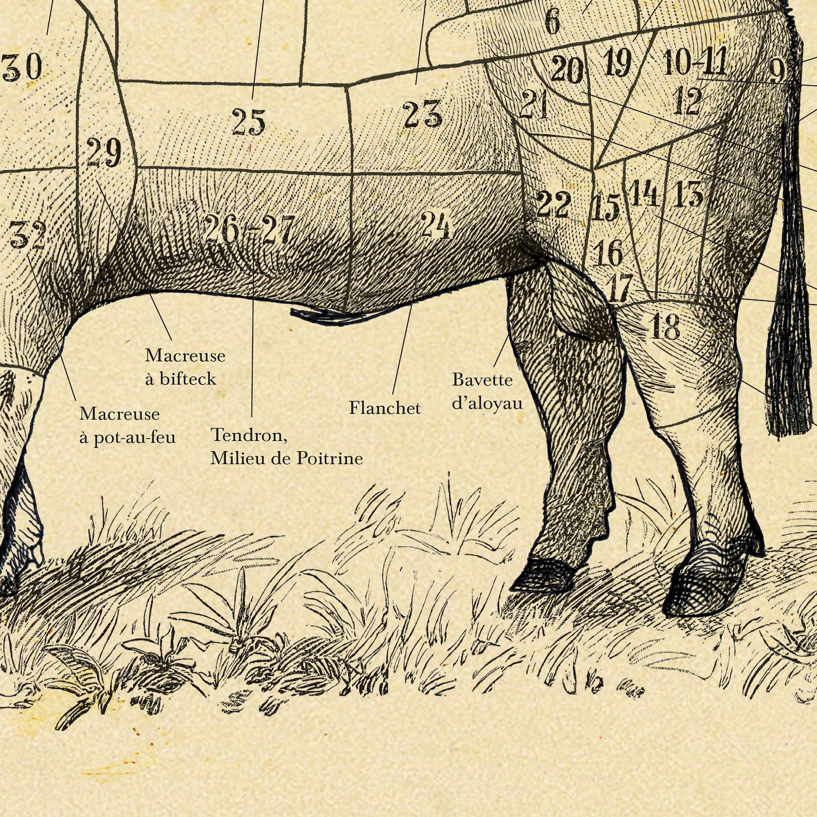 FRENCH Beef Cuts Print – Vintage Butcher Cuts Poster, All Sizes ...