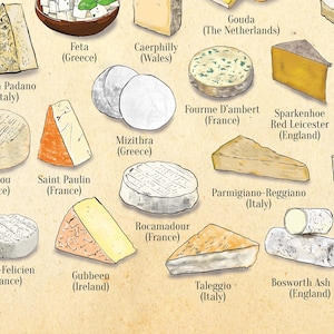 Cheese of the World Poster, Kitchen Decoration, Cheese Knowledge Poster ...