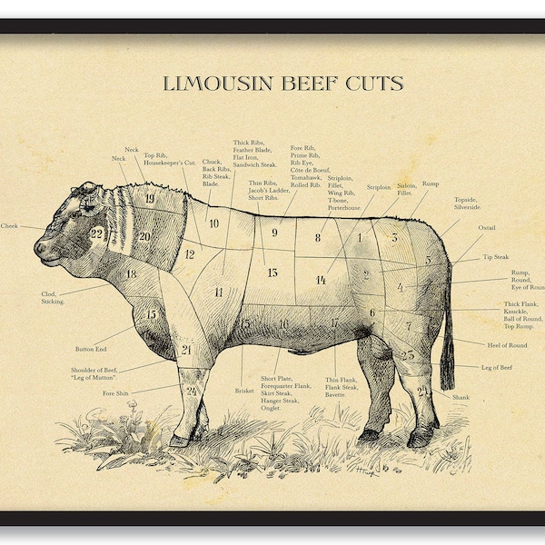 Butcher Chart - Etsy