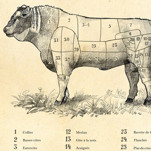 Vintage French Butcher Chart Art for Farmhouse Kitchen Decor - Etsy