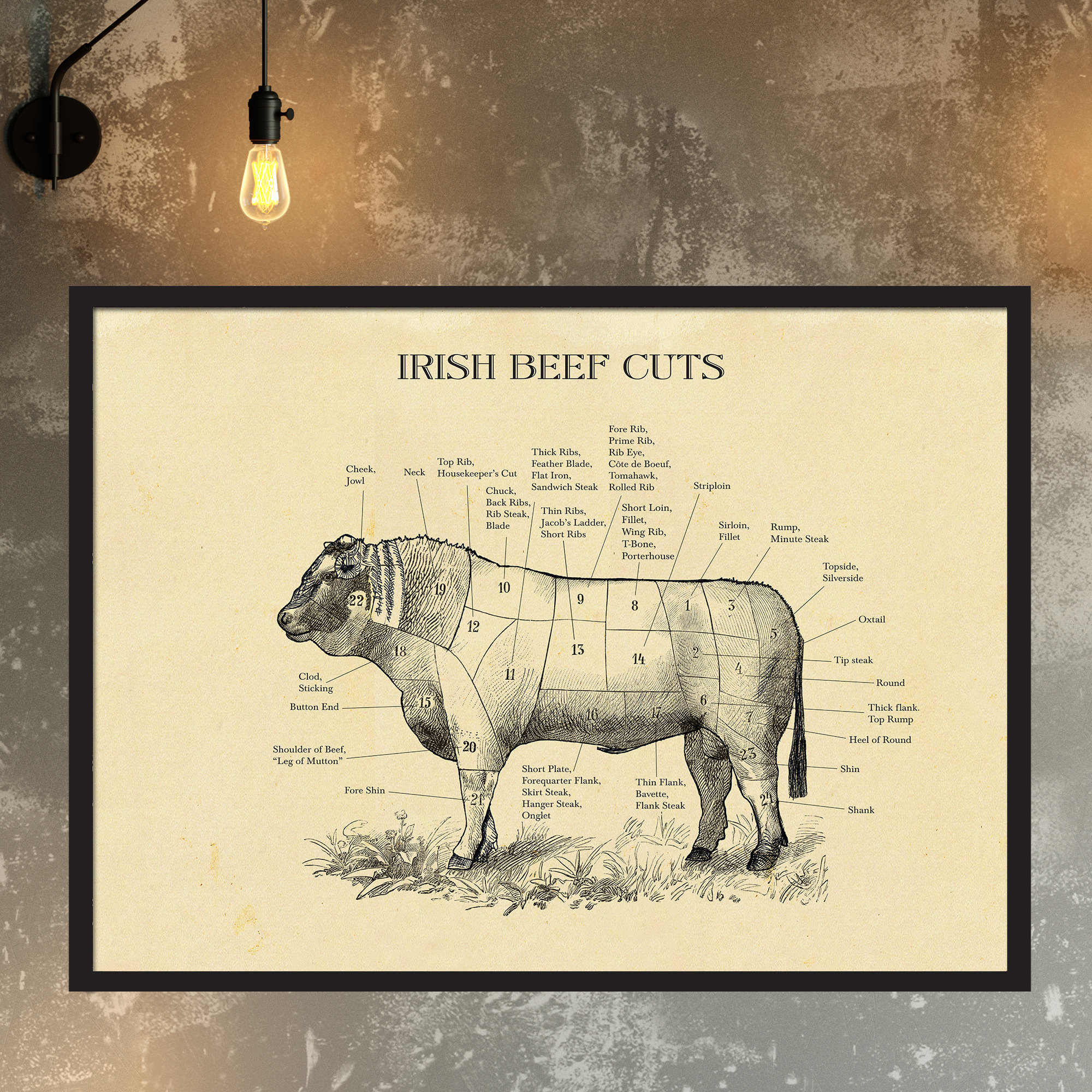 Cow Meat Chart Poster