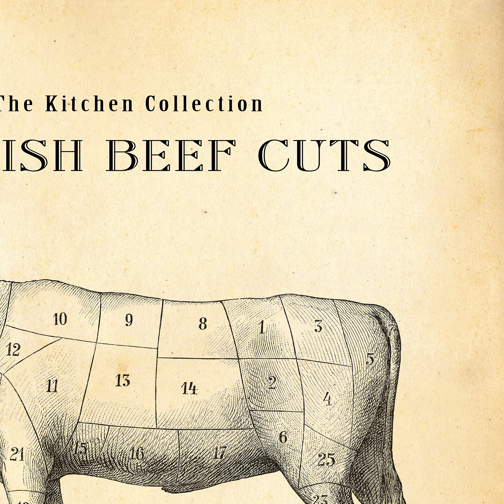 British Beef Cuts Chart, Beef Cut Cow Print, Kitchen Collection - Etsy UK