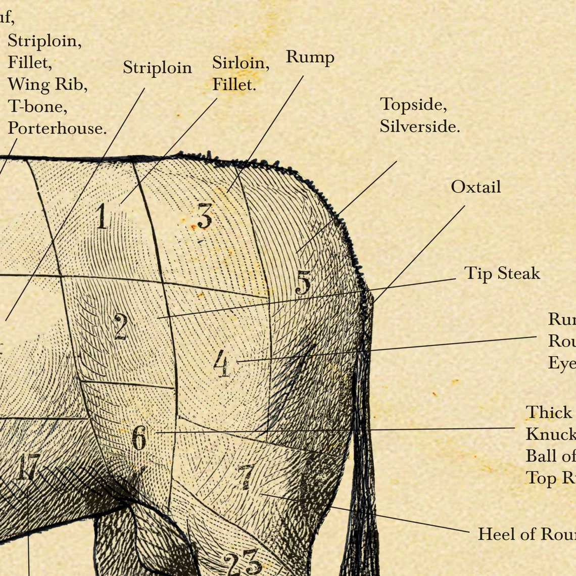 IRISH Beef Cut Print Butcher Chart Poster Etching Style - Etsy