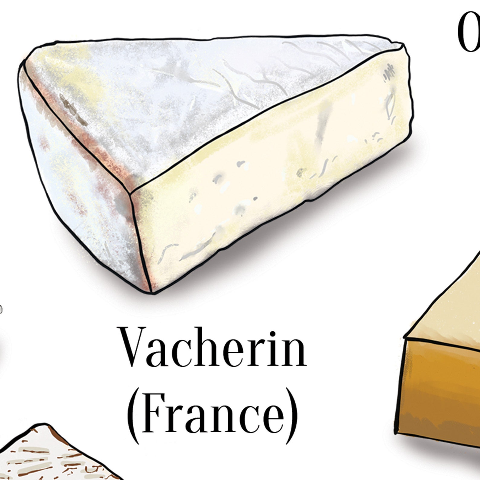 Cheese of the World Poster, Kitchen Decoration, Cheese Knowledge Poster ...