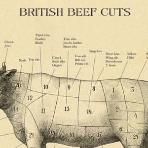 BRITISH Beef Cut Cow Print, Butcher Chart, Vintage Etching - Etsy