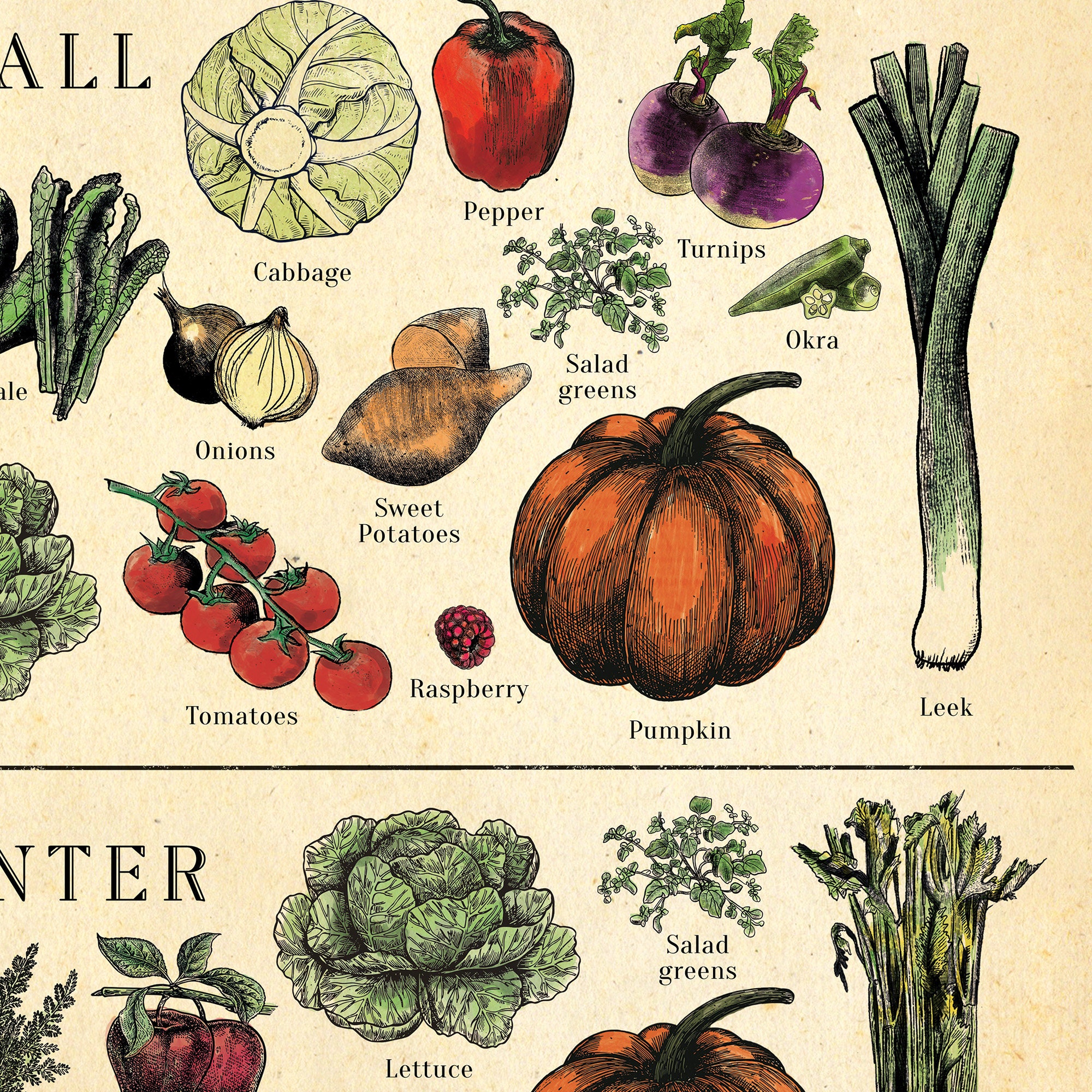 AMERICAN SOUTH Seasonal Fruit and Veg Poster, Vegetable Chart ...