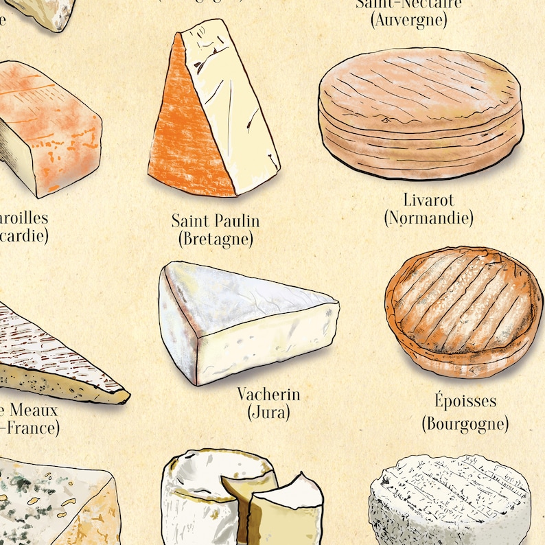 Vintage FRENCH Cheese Print Food Art Farmhouse Wall Art - Etsy