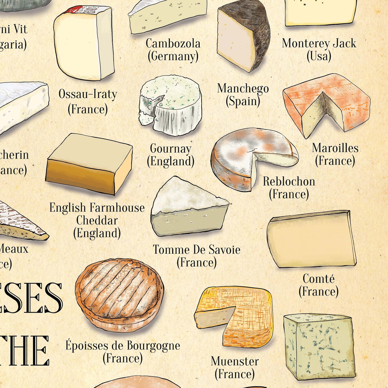 Cheese of the World Poster, Kitchen Decoration, Cheese Knowledge Poster ...