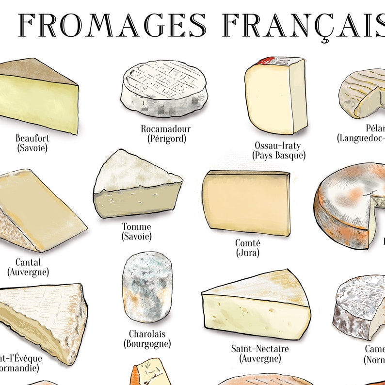 Vintage FRENCH Cheese Print Food Art Farmhouse Wall Art - Etsy