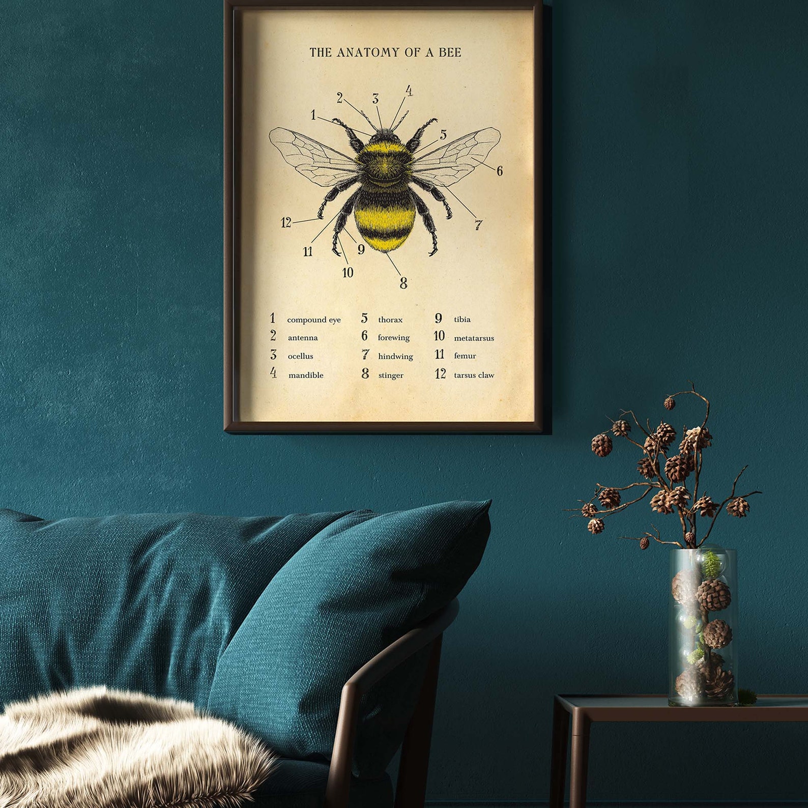 Bee Print Bee Poster Bee Chart Anatomy Nature for - Etsy