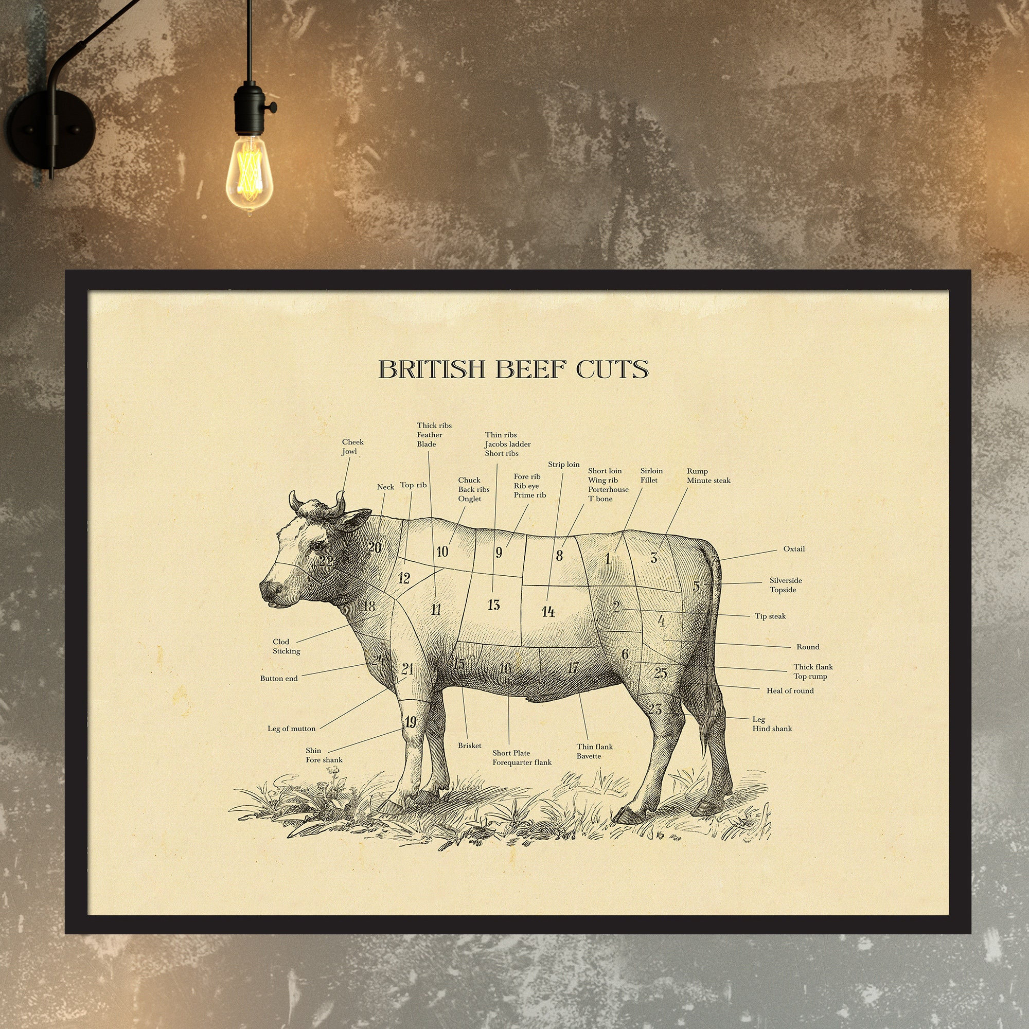 BRITISH Beef Cut Cow Print Butcher Chart Vintage Etching - Etsy UK