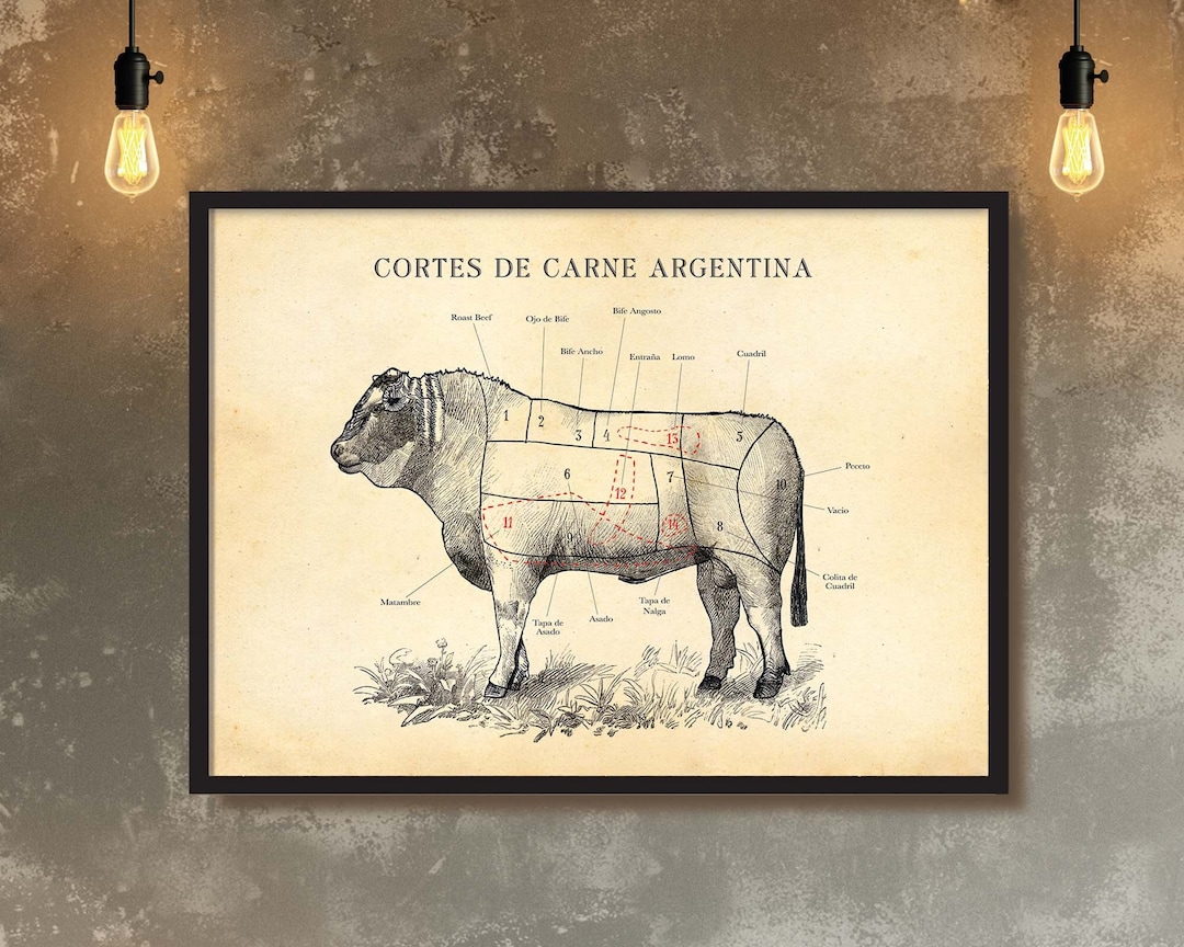 Argentine Beef Cuts