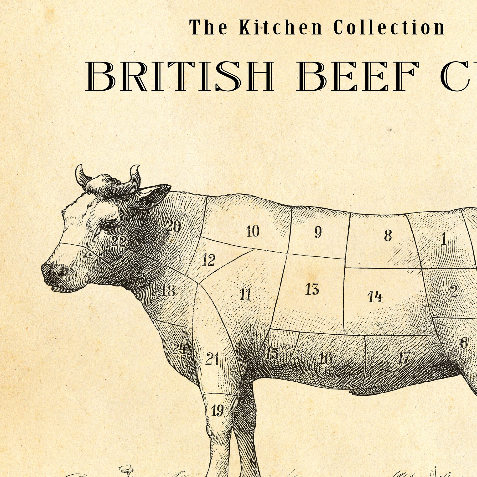 British Butcher Chart cut cow print kitchen collection | Etsy