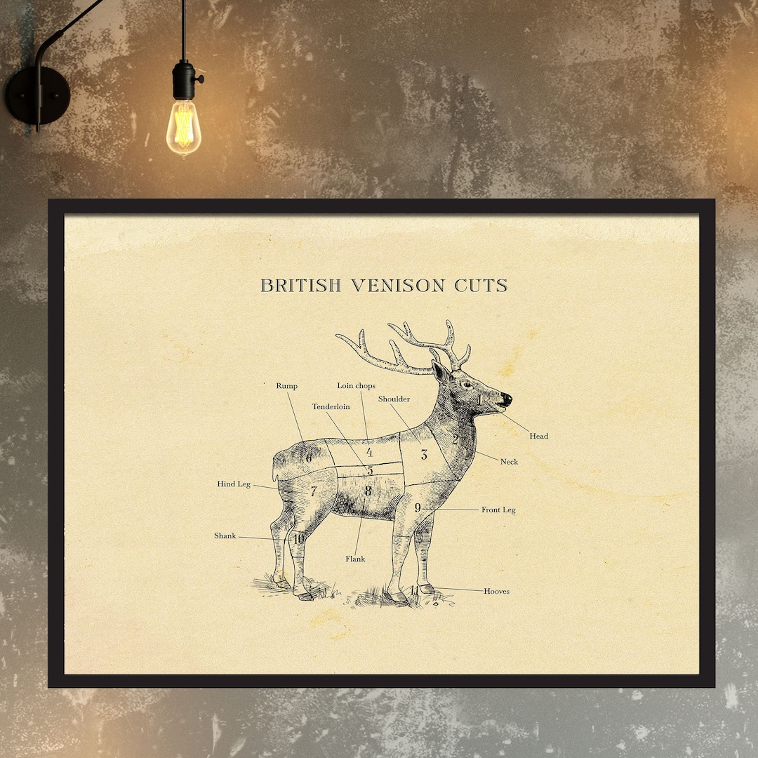 BRITISH Venison Butcher Chart, Deer Cuts of Meat, Etching Style Print ...