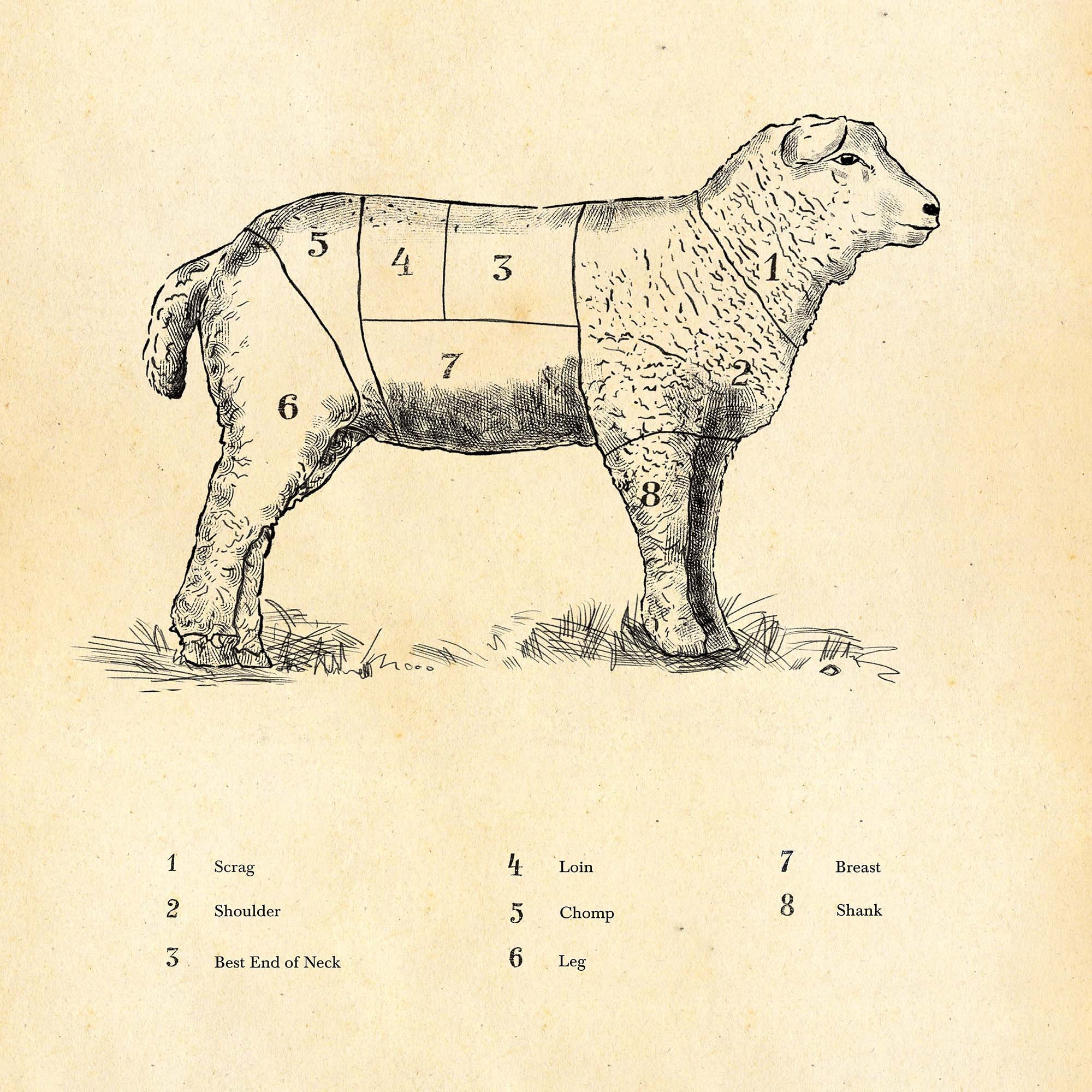 British Butcher Chart Set Meat Cuts Diagram 3 for 2 Offer - Etsy Canada