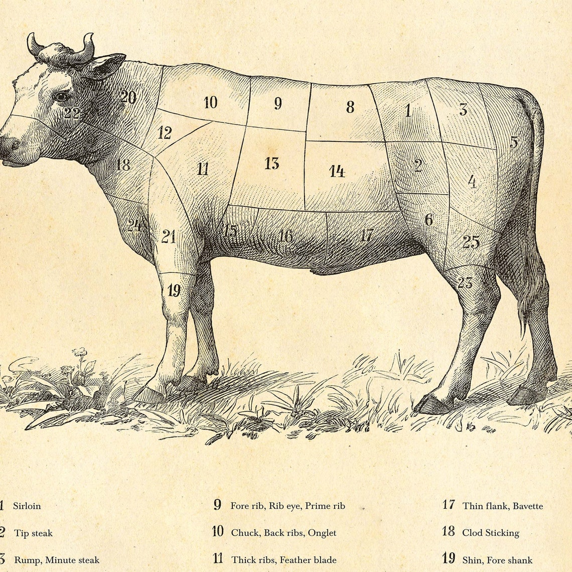 British Butcher Chart Set Meat Cuts Diagram 3 for 2 Offer - Etsy Canada