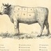 British Butcher Chart Set, Meat Cuts Diagram, 3 for 2 Offer - Etsy Canada
