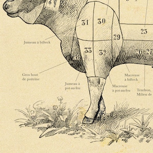 FRENCH Beef Cuts Print – Vintage Butcher Cuts Poster, All Sizes ...