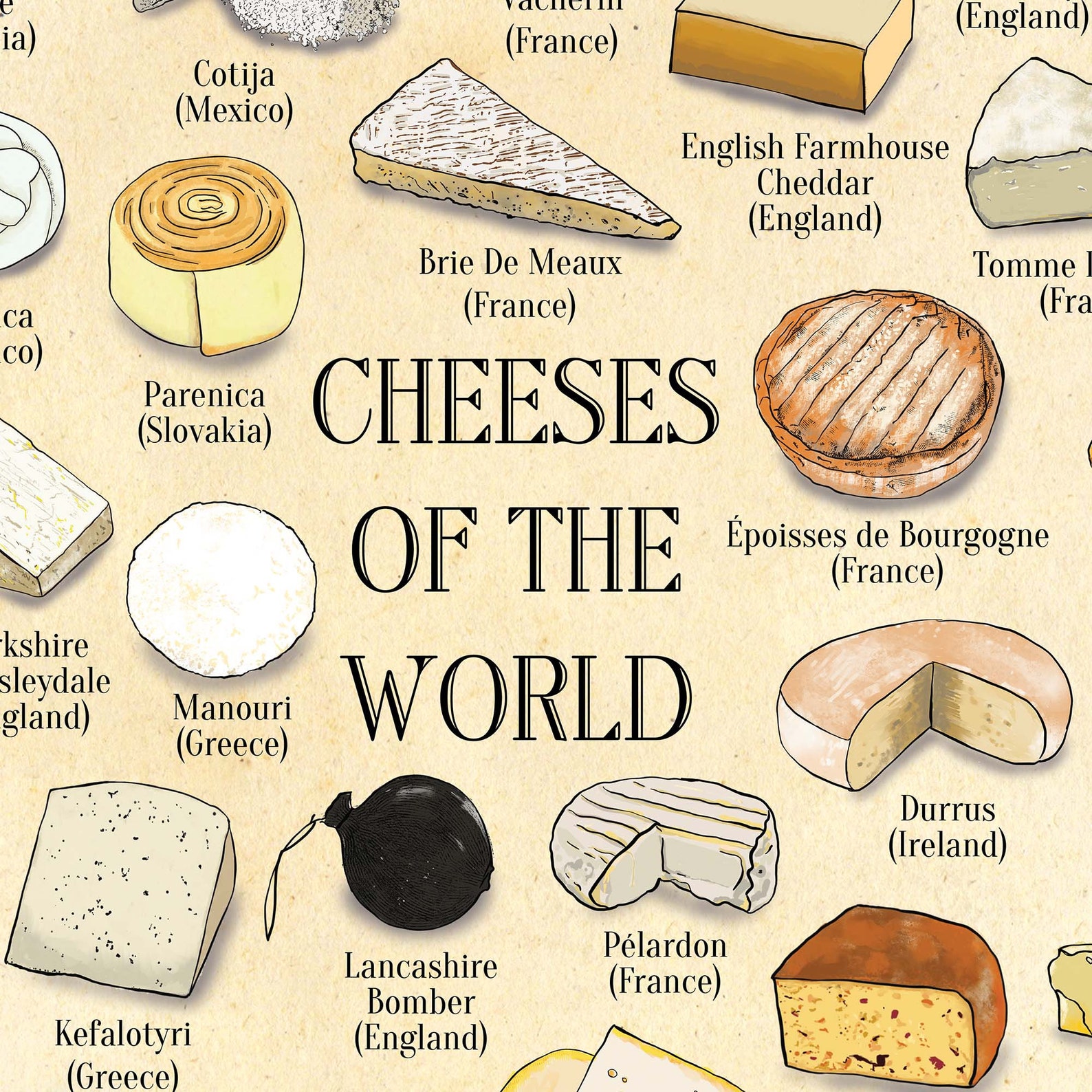 Cheese of the World Poster, Kitchen Decoration, Cheese Knowledge Poster ...