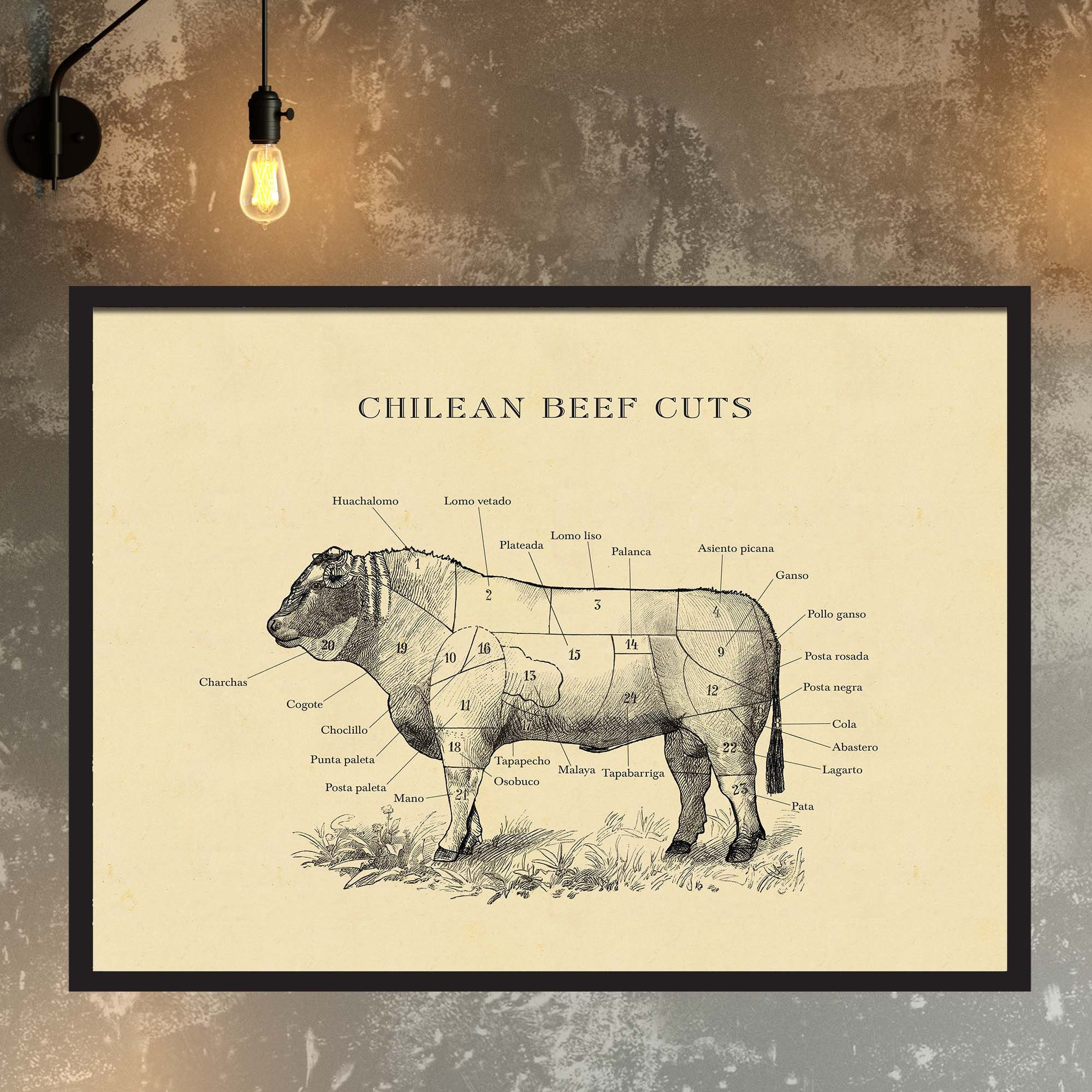 Vintage Beef fashion Chart UK