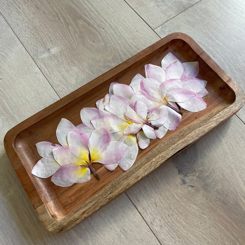Pressed Tropical Flowers - Etsy