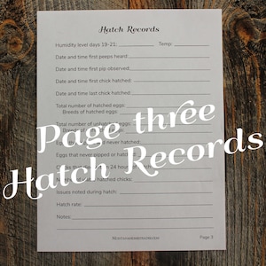 Chicken Egg Incubation Records Printable Forms Printer Friendly PDF ...