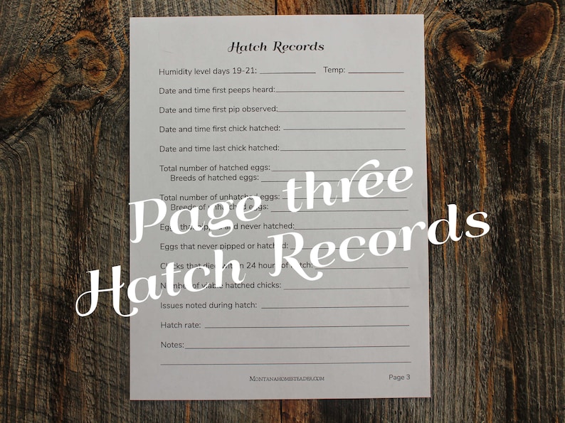 Chicken Egg Incubation Records Printable Forms Printer Friendly PDF ...