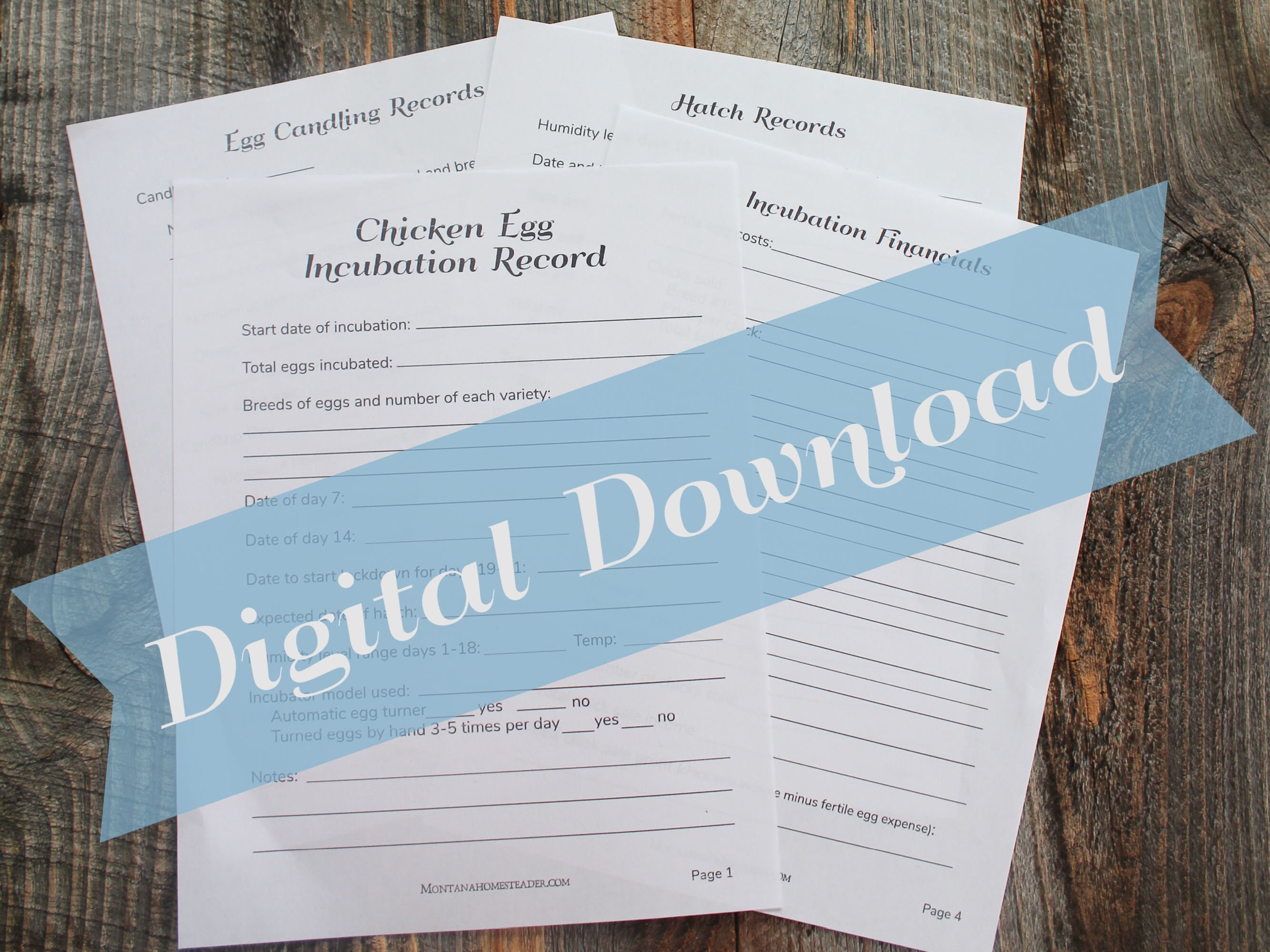 Chicken Egg Incubation Records Printable Forms Printer Friendly PDF ...