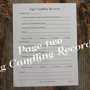 Chicken Egg Incubation Records Printable Forms Printer Friendly PDF ...