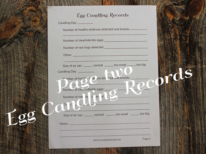 Chicken Egg Incubation Records Printable Forms Printer Friendly PDF ...