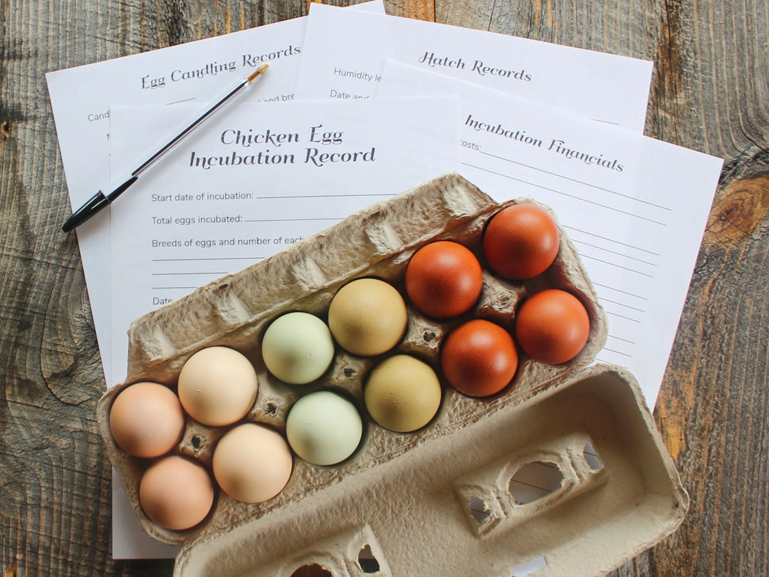 Chicken Egg Incubation Records Printable Forms Printer Friendly PDF ...