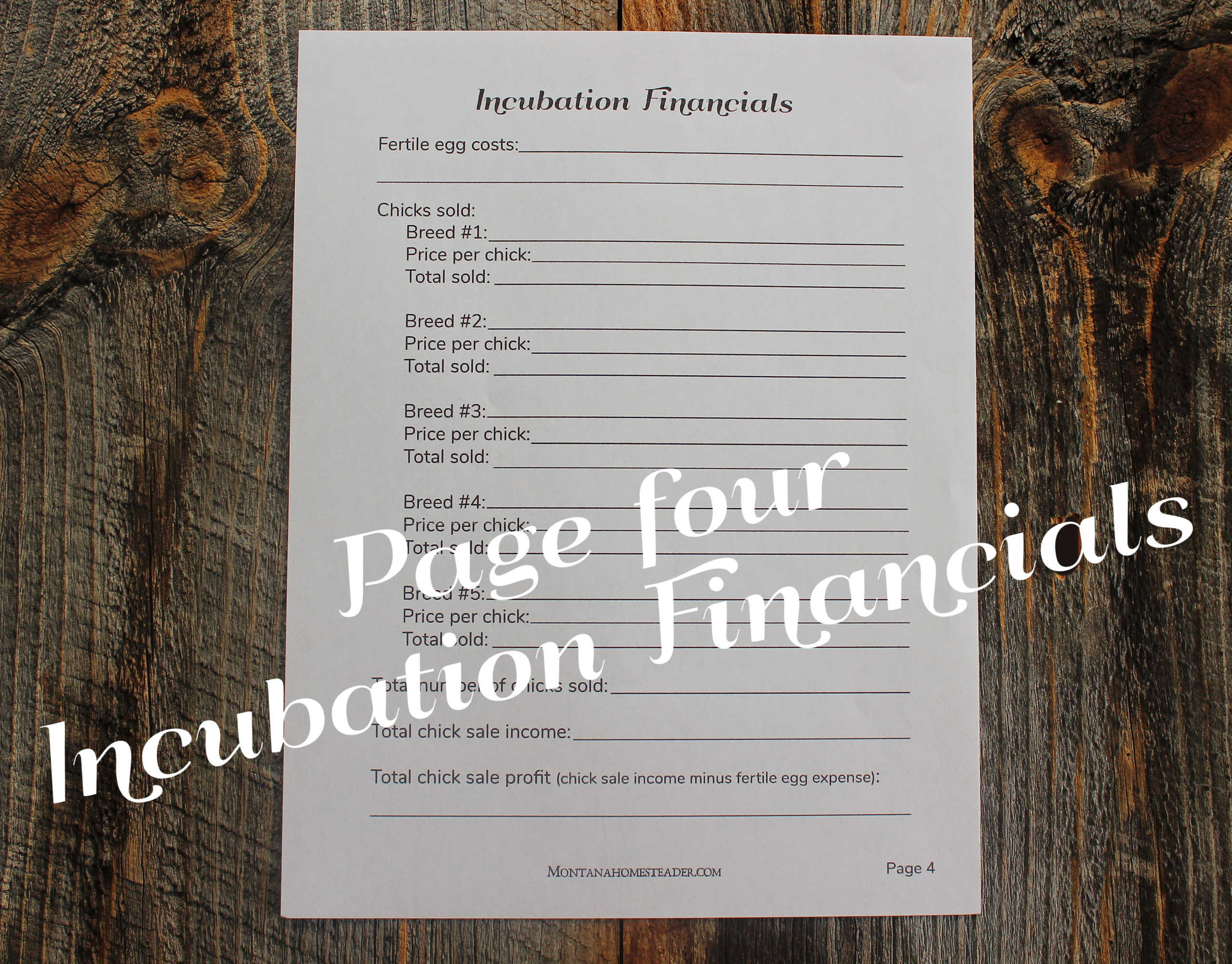 Chicken Egg Incubation Records Printable Forms Printer Friendly PDF ...