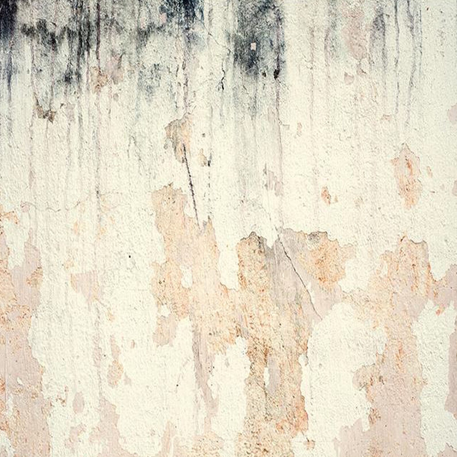 Poly Background 60x44 Lot 112 - Etsy