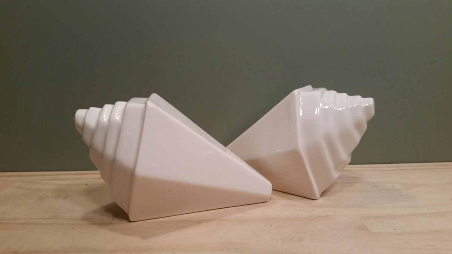 Two White geometric Seashells | Etsy