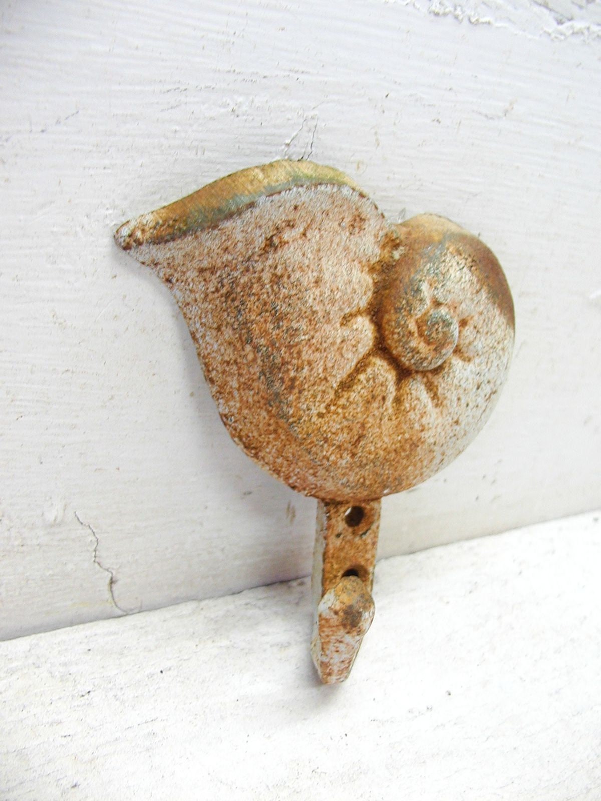 Shell Hook for Your Beach House Great to Hang That Wet Towel | Etsy