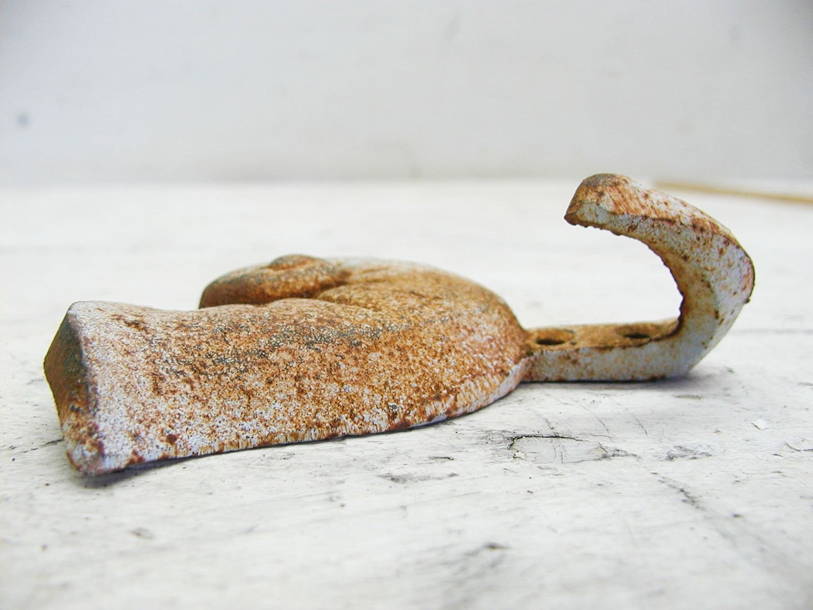 Shell Hook for Your Beach House Great to Hang That Wet Towel | Etsy