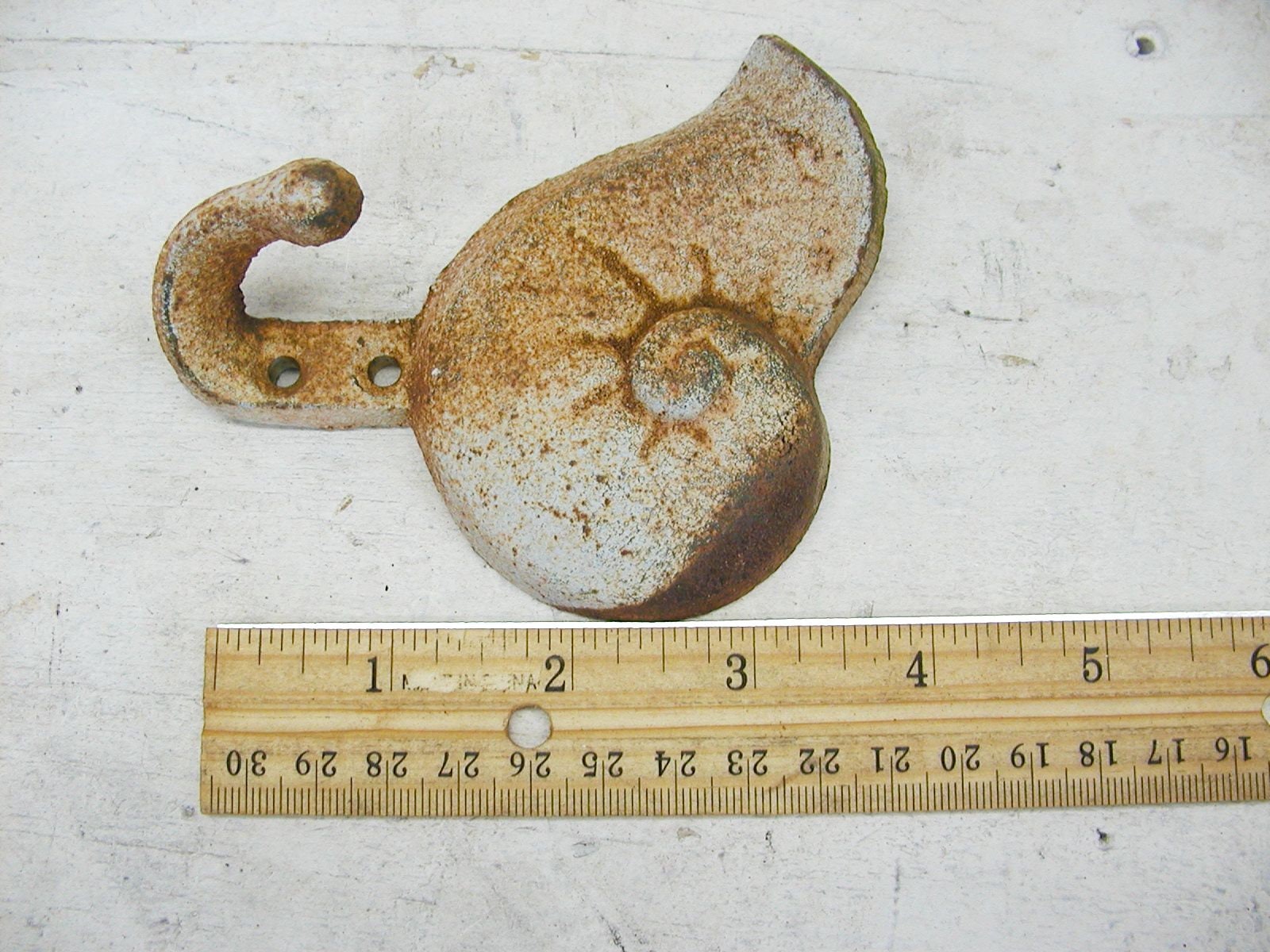 Shell Hook for Your Beach House Great to Hang That Wet Towel | Etsy