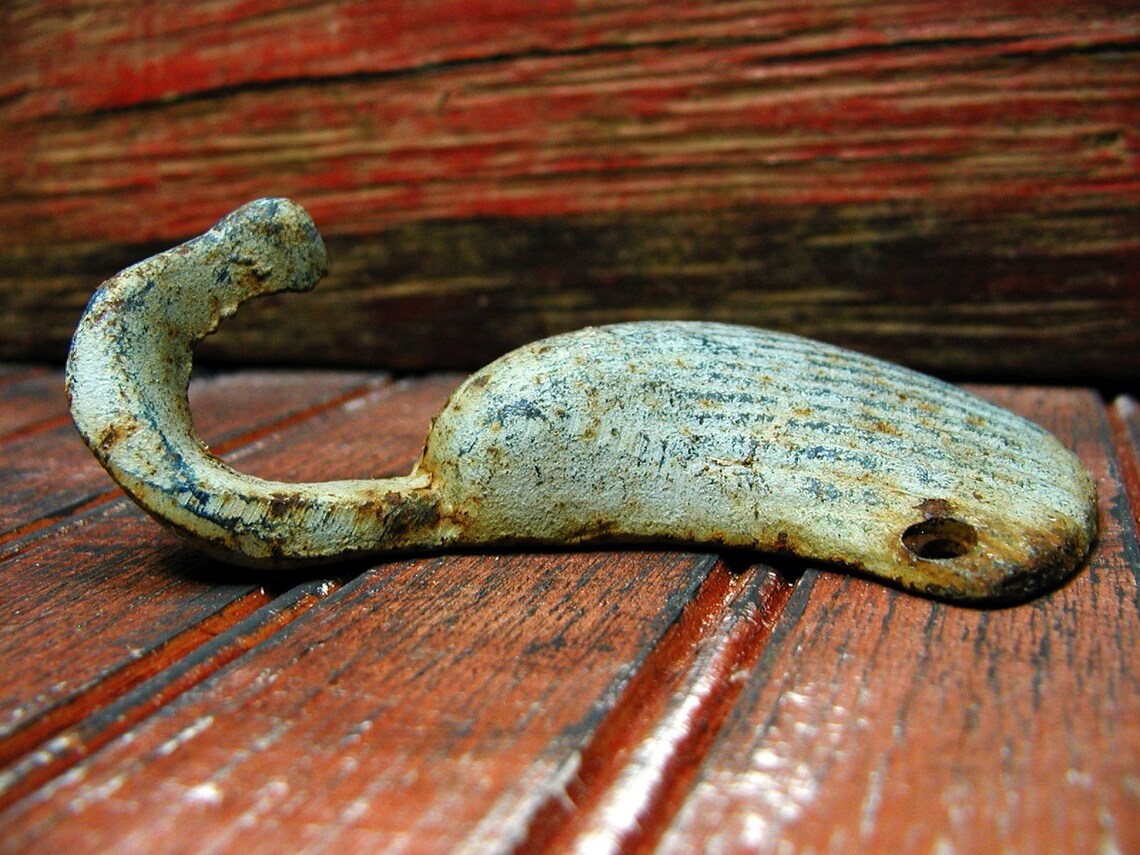 Shell Hook for Your Beach House Great to Hang That Wet Towel | Etsy
