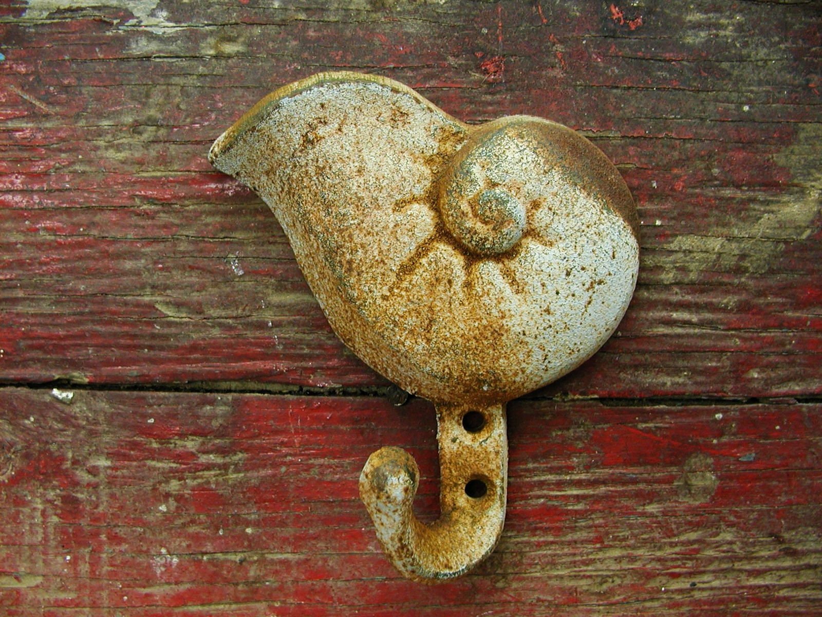 Shell Hook for Your Beach House Great to Hang That Wet Towel | Etsy