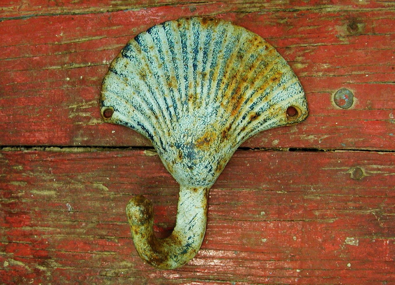 Shell Hook for Your Beach House Great to Hang That Wet Towel - Etsy