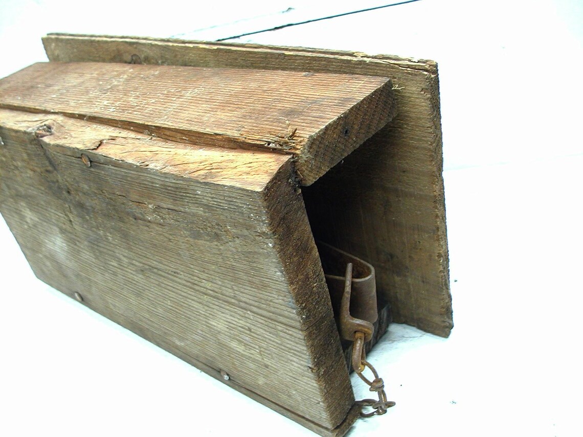 Vintage Home Made Animal Trap Folk Art Fur Trapping | Etsy