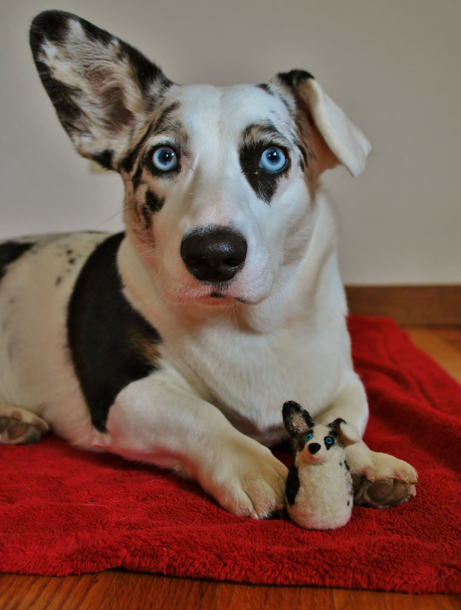 Extra Tiny Pet Portrait Fiber Friends nubbins - Etsy UK
