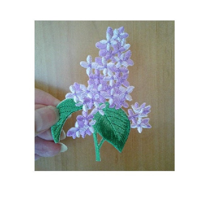 Lilac - Lilacs - Gardening - Flower - Spring - Mother's Day ...