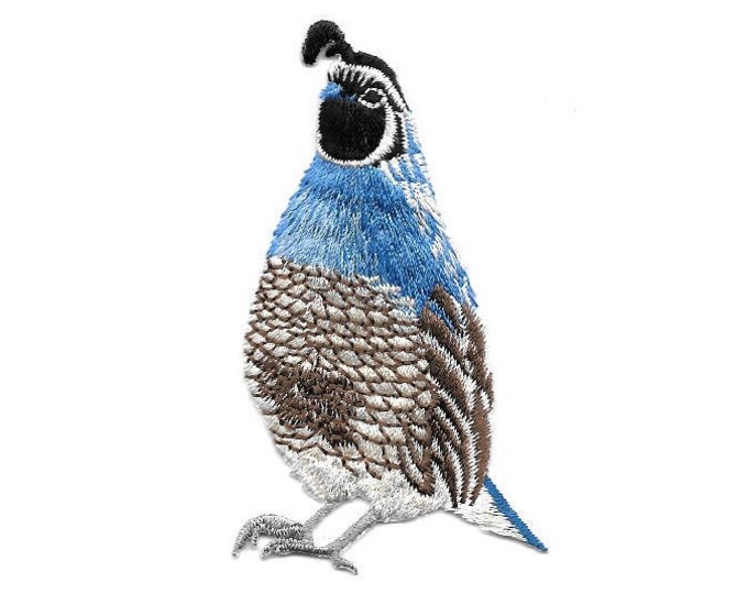 Bird Quail Southwest Desert Embroidered Iron on Applique Patch LG-L - Etsy
