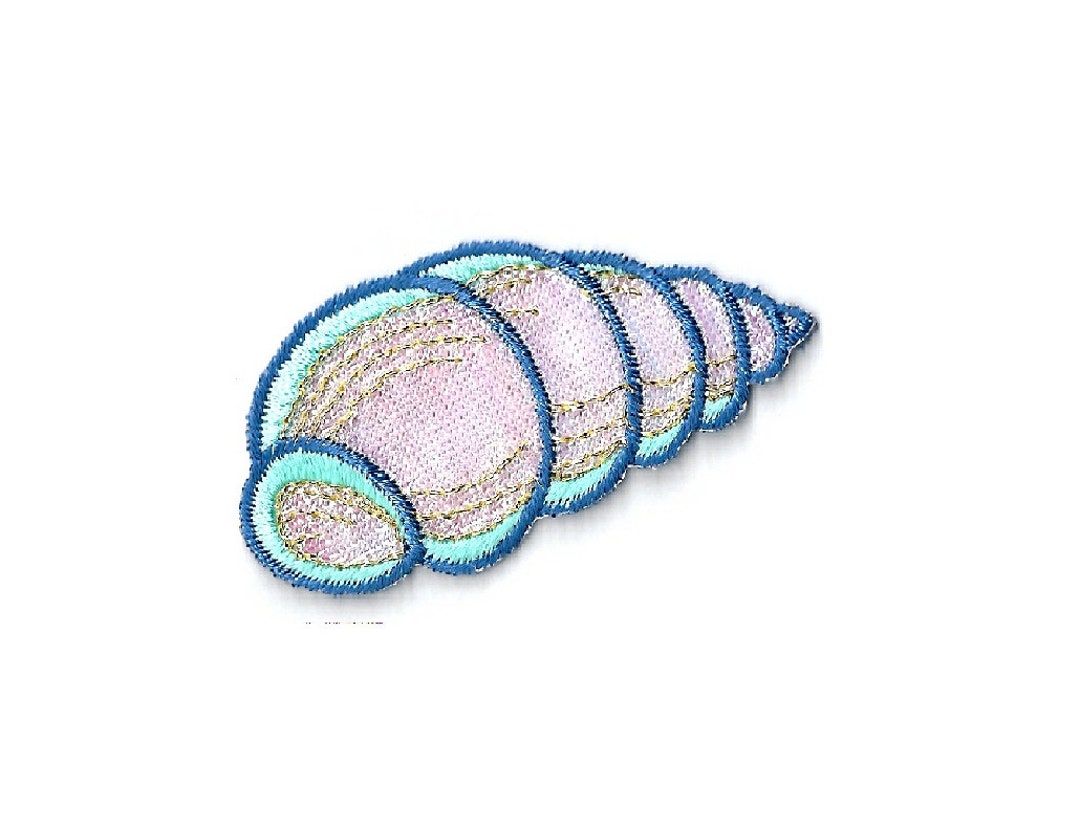 Seashell - Beach - Ocean Tropical - Summer Crafts - Shimmering ...