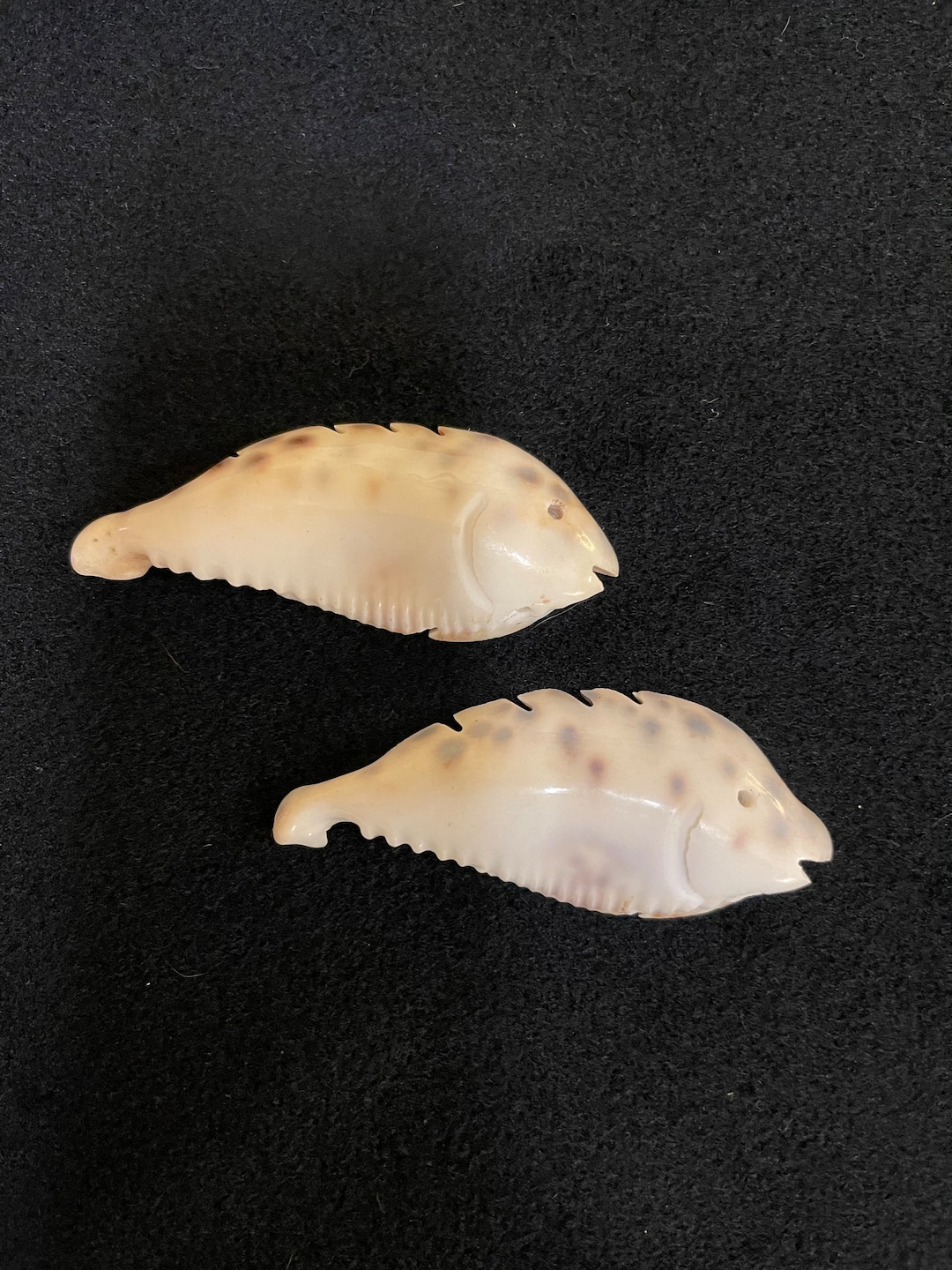 Pair of Carved Abalone or Shell Fish Shaped Buttons (?) - Etsy