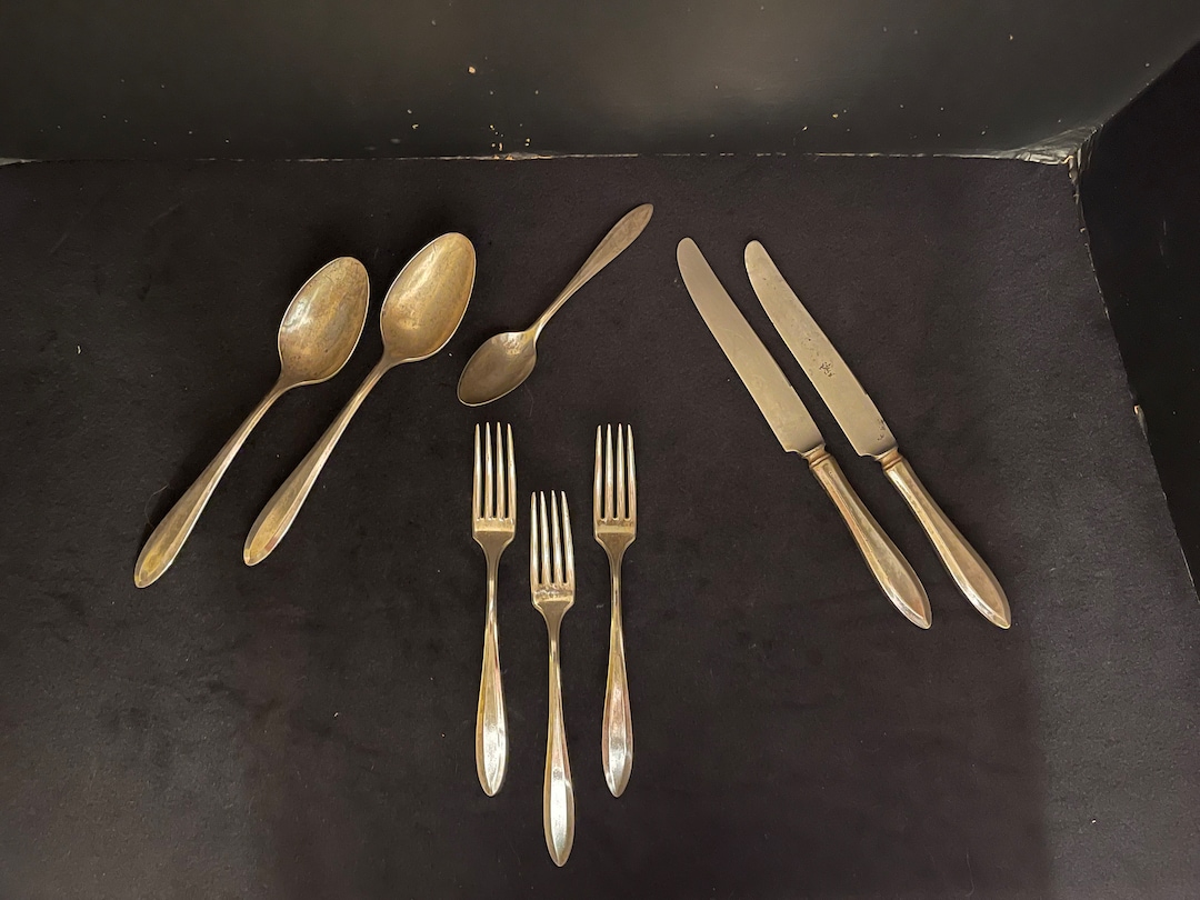 Community Plate Silverware Patrician Pattern - Etsy