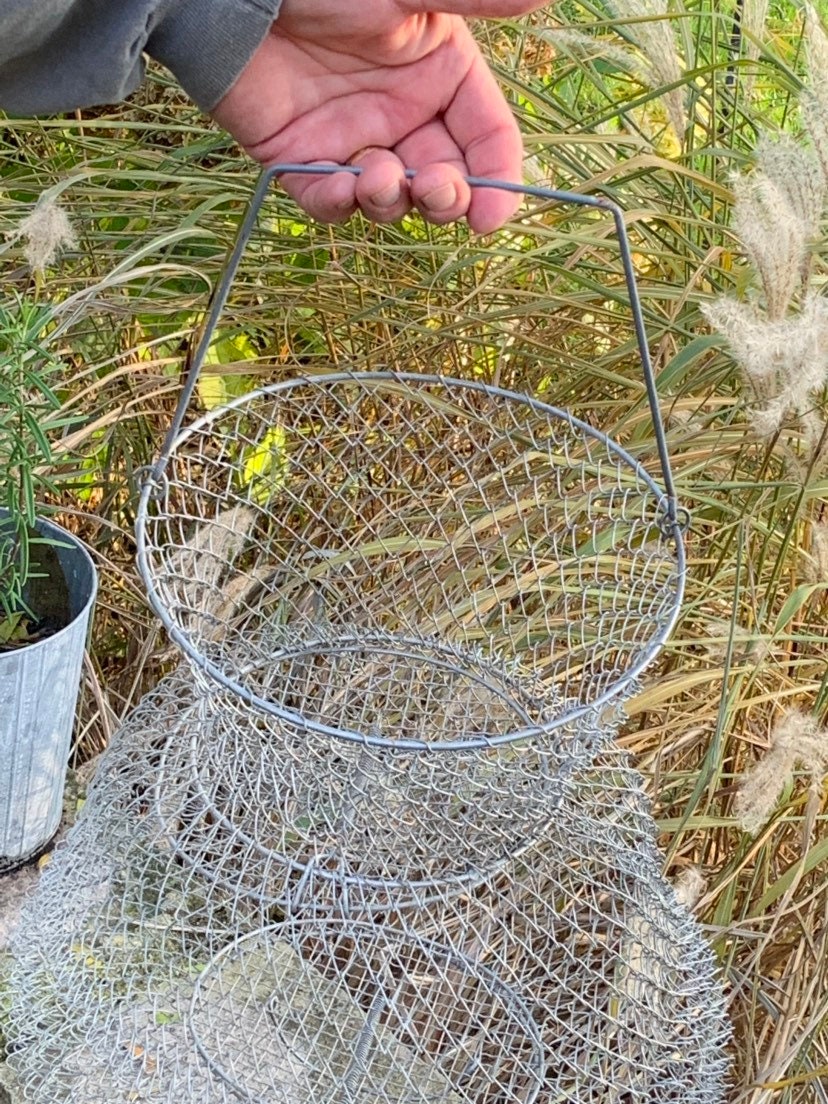 Fishing Basket Collapsible Basket Wire Fish Basket Metal - Etsy UK