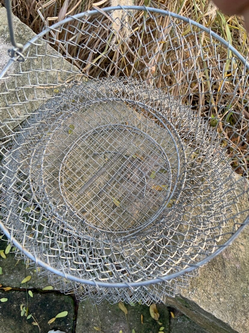 Fishing Basket Collapsible Basket Wire Fish Basket Metal - Etsy UK